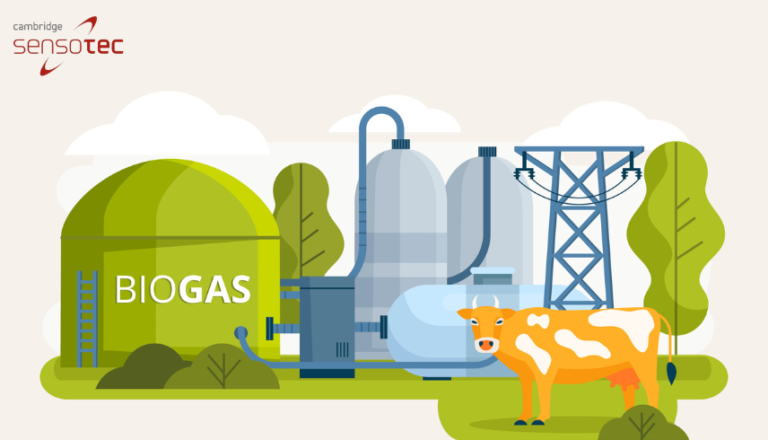 Sustainable Energy: Biogas & Syngas Analysis Impact
